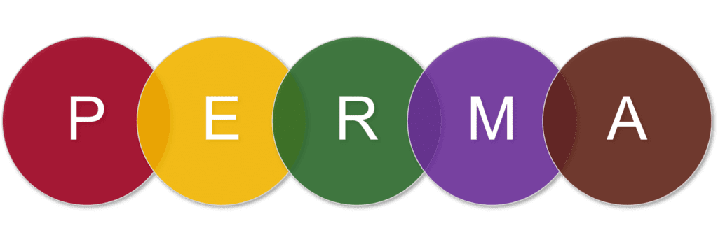 PERMA - Persönliches Potenzial entfalten - stresscoach.at